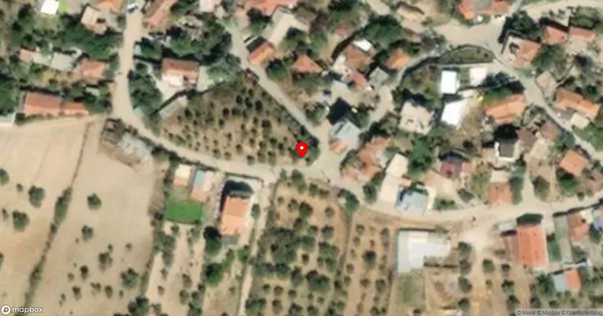 Sarı Saltuk Mezarı, Çınarlı • Konumu, Fotoğrafları ve Hakkındaki ...