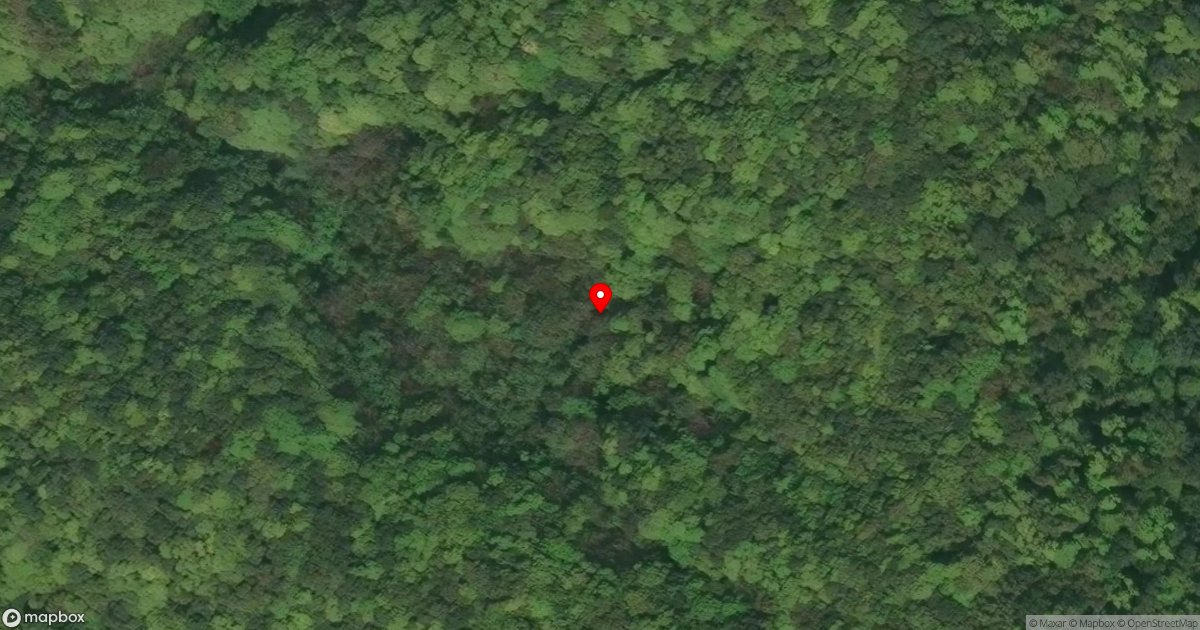 Amami Ōshima Adası • Konumu, Fotoğrafları ve Hakkındaki Bilgiler ...